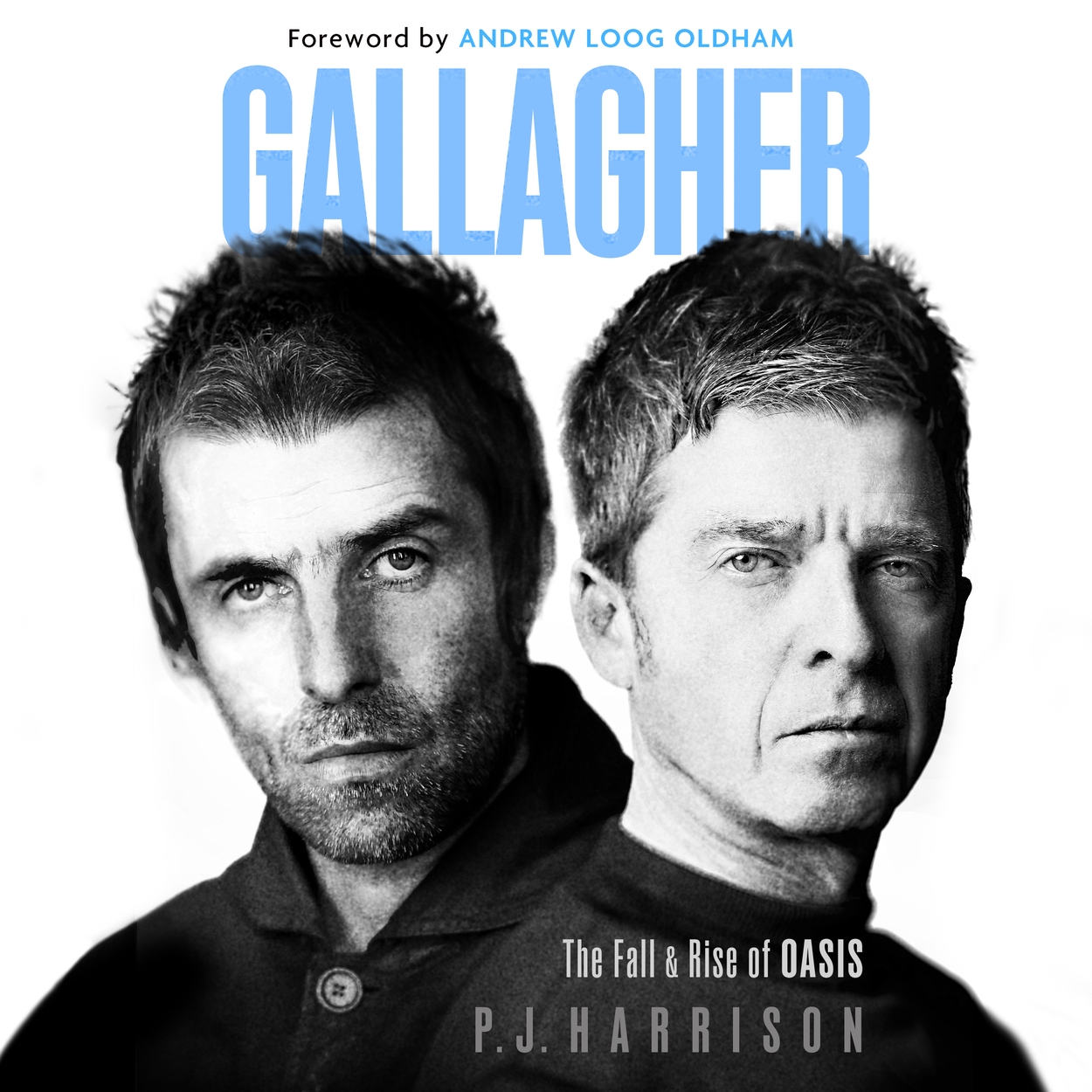 Gallagher by PJ Harrison | Hachette UK