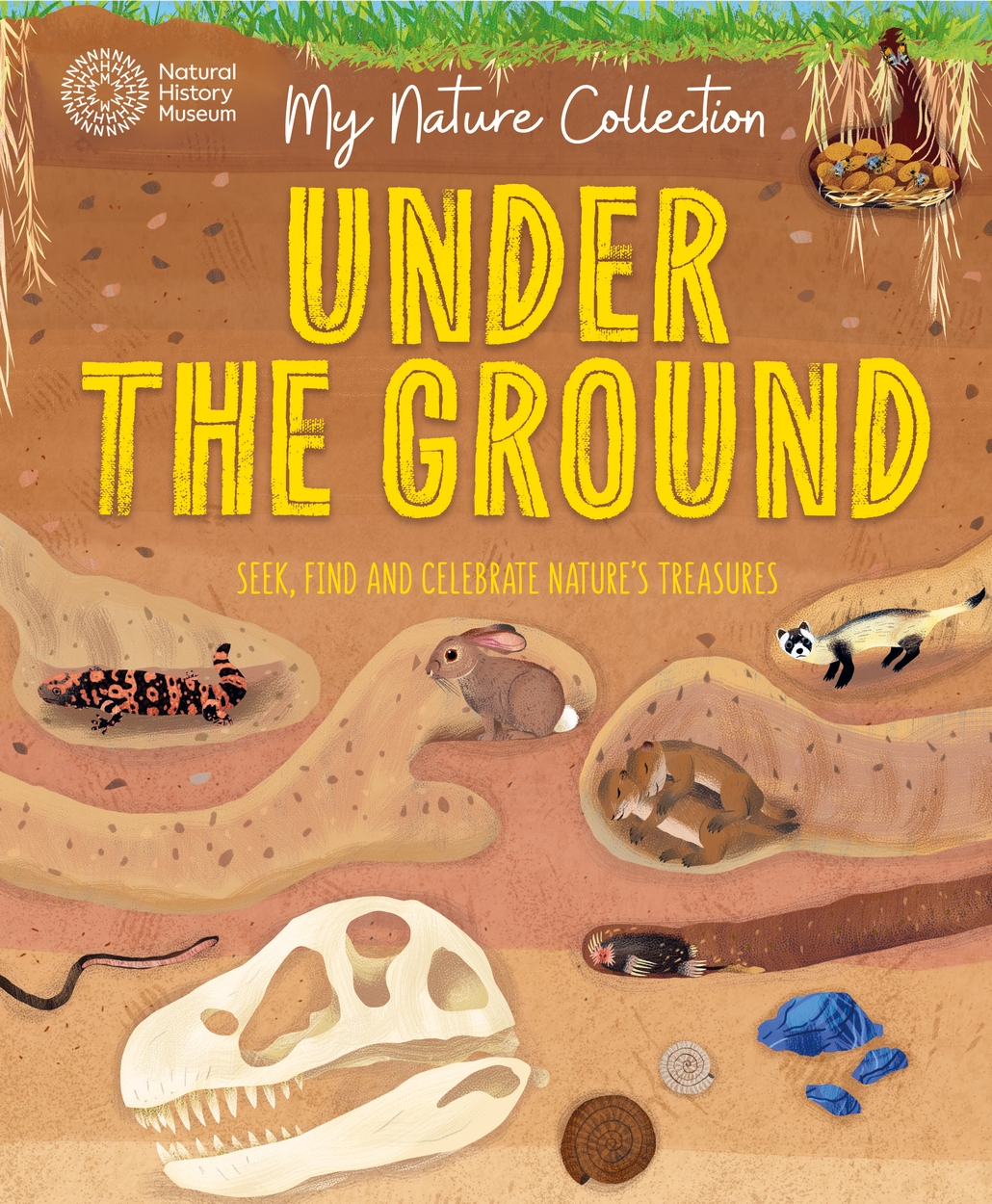 My Nature Collection: Under the Ground by Cameron Menzies | Hachette UK