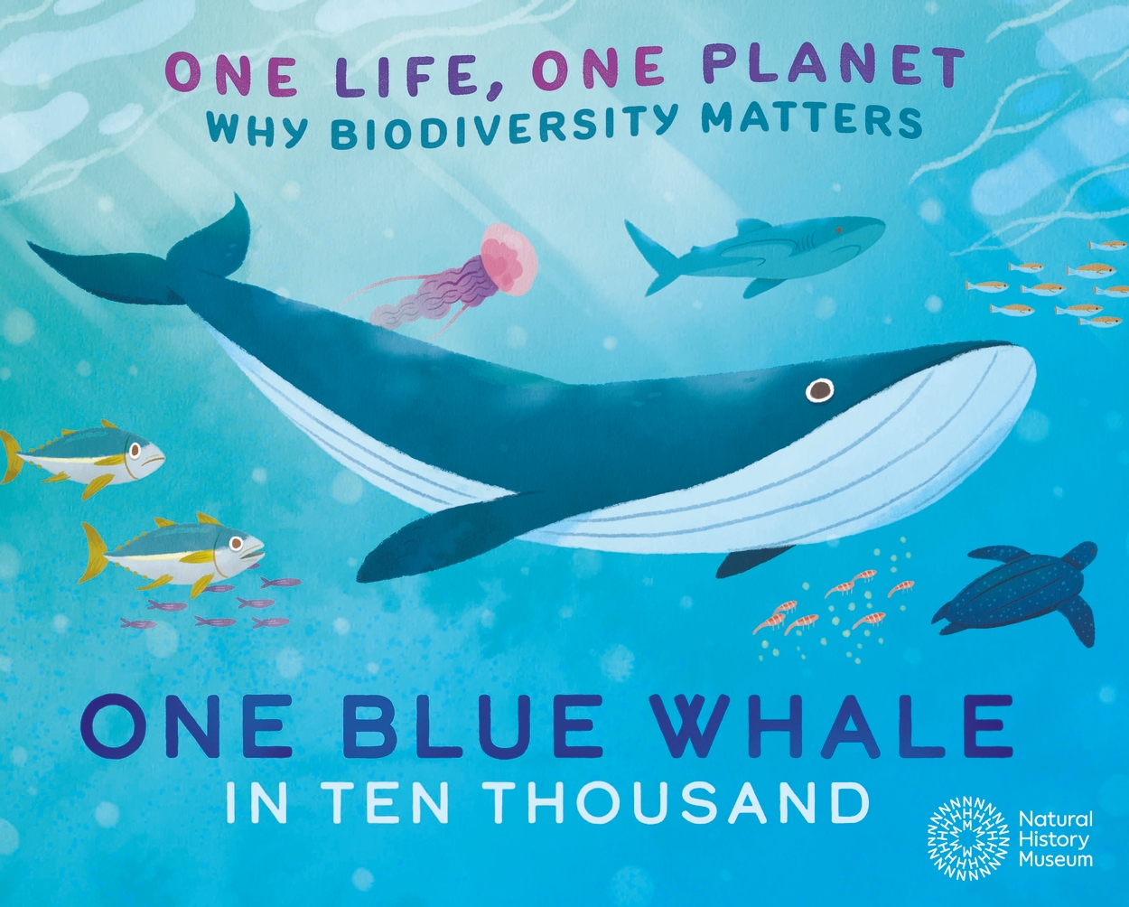 One Life, One Planet: One Blue Whale in Ten Thousand by Sarah Ridley ...