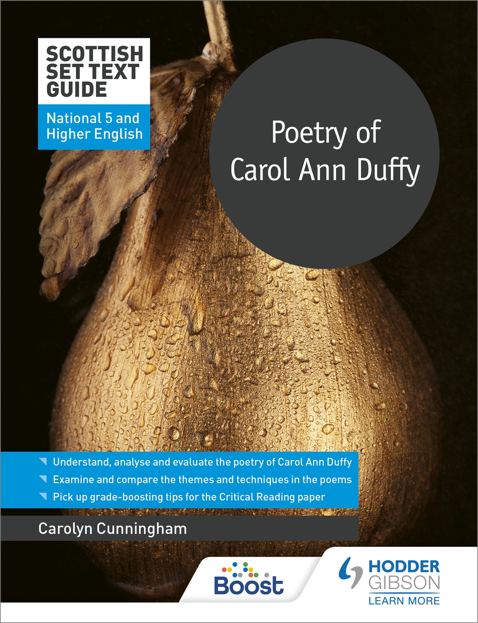 Scottish Set Text Guide: Tally’s Blood for National 5 English by David ...