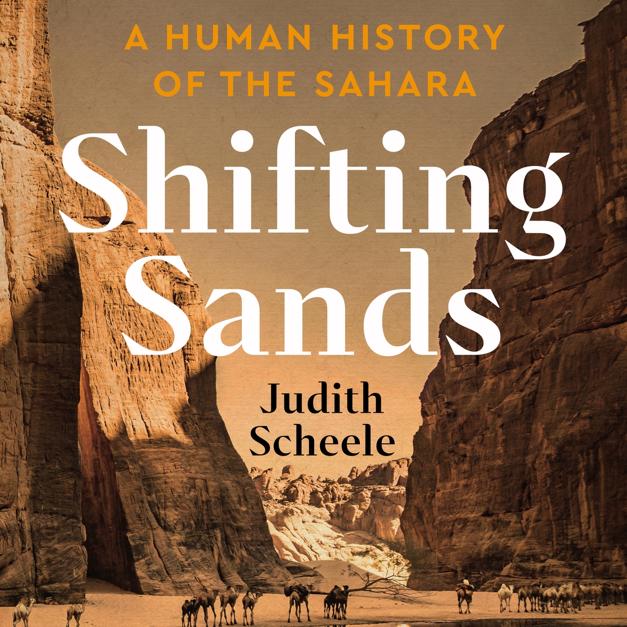 Shifting Sands by Judith Scheele | Hachette UK