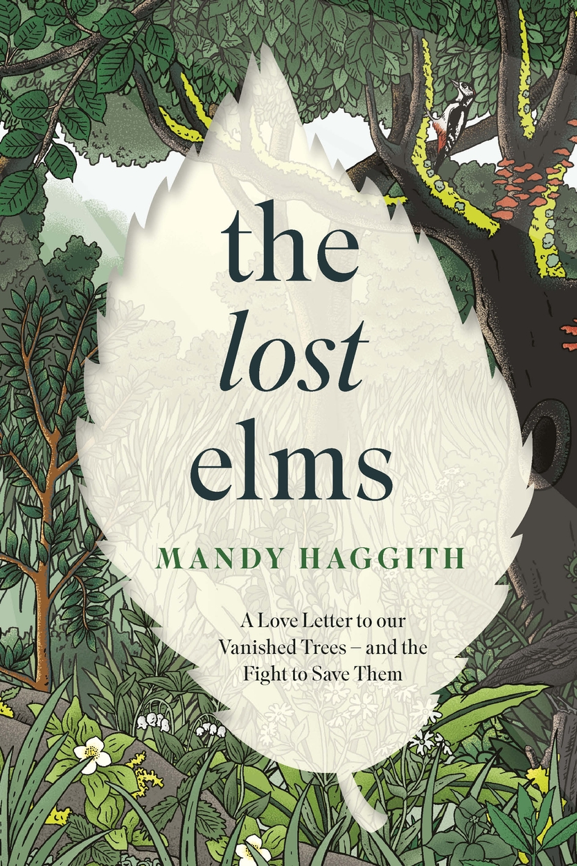 The Lost Elms: A Love Letter to Our Vanished Trees – and the Fight to Save Them by Mandy Haggith ...