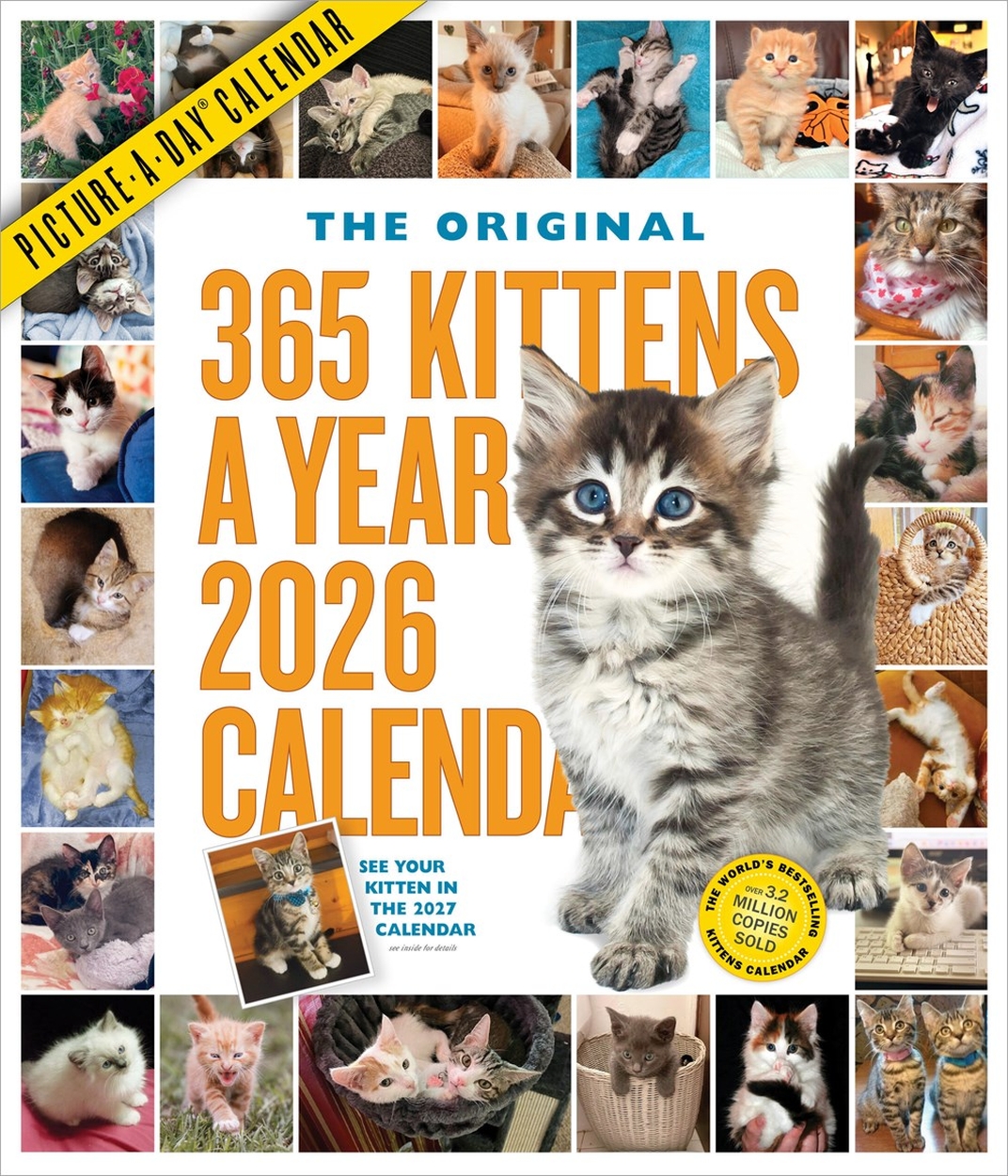 365 Kittens-A-Year Picture-A-Day® Wall Calendar 2026 by Workman ...