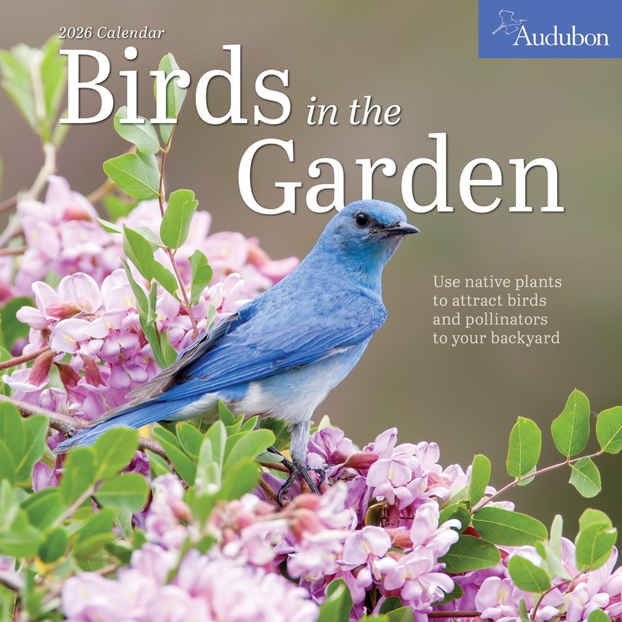 Audubon Birds in the Garden Wall Calendar 2026 by Workman Calendars ...