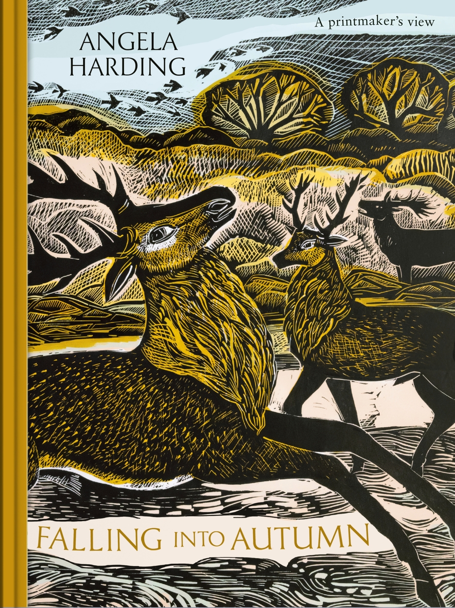 Falling into Autumn by Angela Harding | Hachette UK