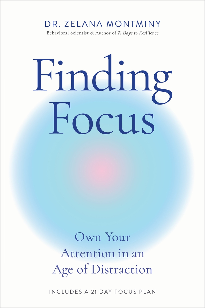 Finding Focus by Zelana Montminy | Hachette UK