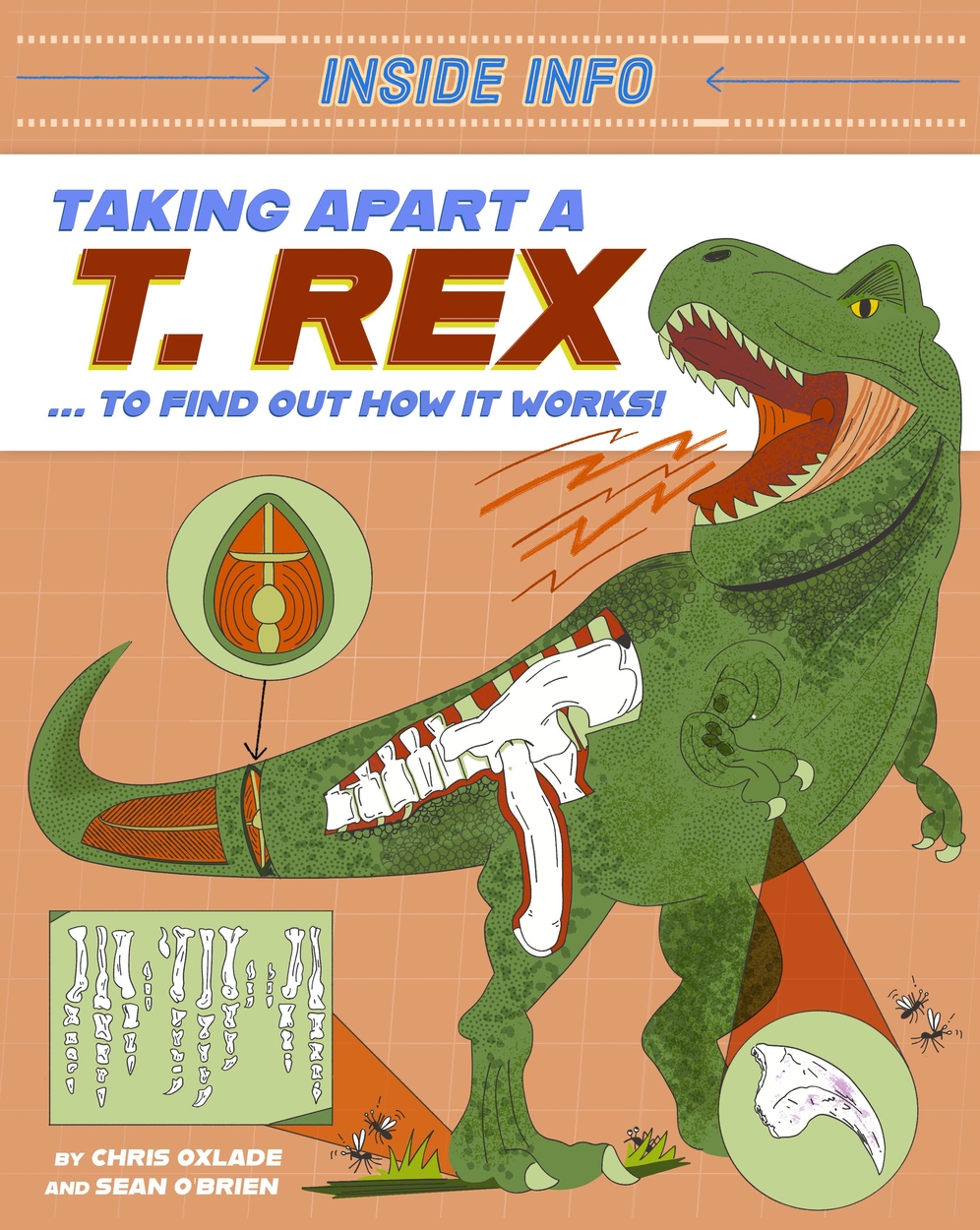 Inside Info: Taking Apart a T. rex by Chris Oxlade | Hachette UK