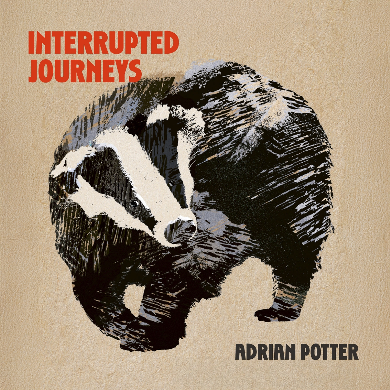 Interrupted Journeys by Adrian Potter | Hachette UK