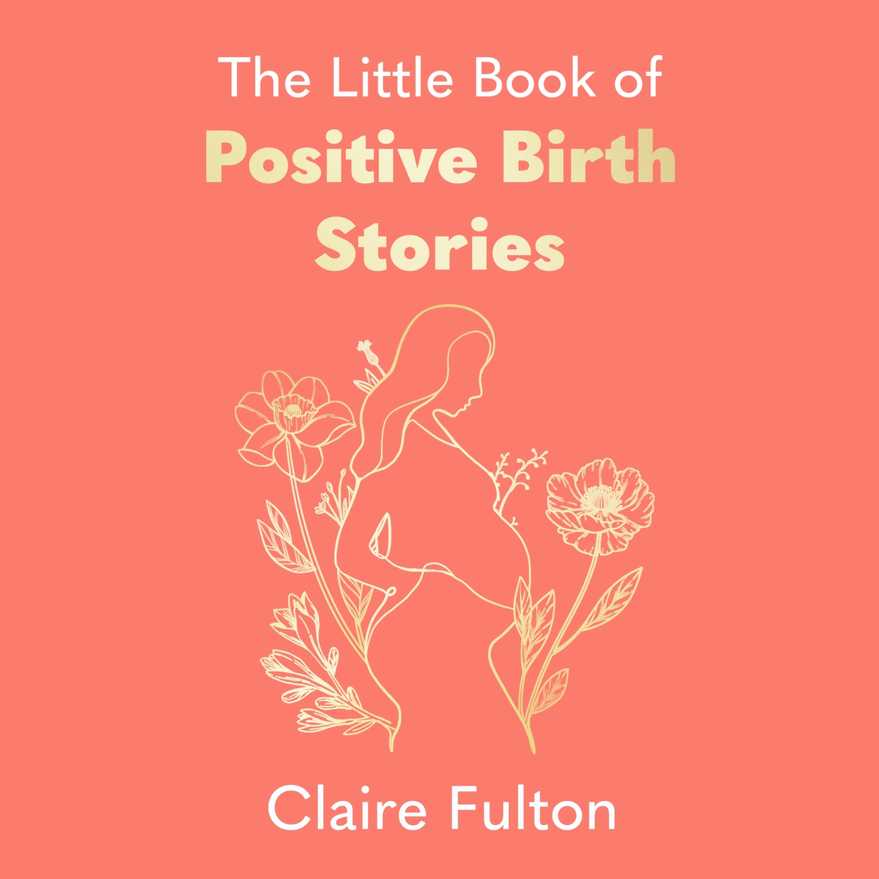 The Little Book of Positive Birth Stories by Claire Fulton | Hachette UK