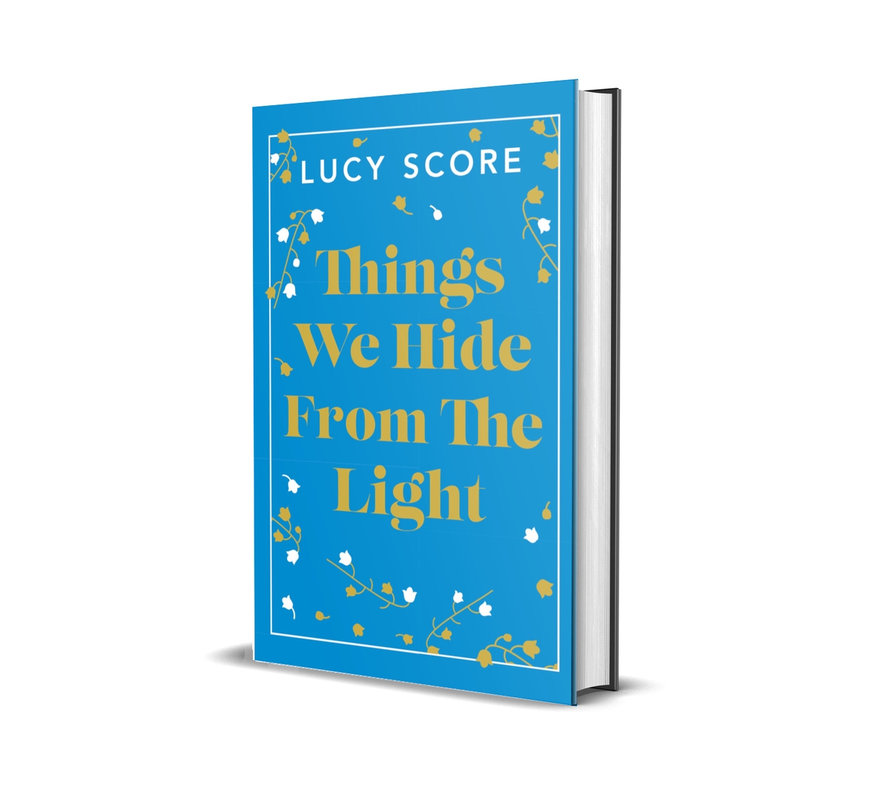 Things We Hide From The Light by Lucy Score | Hachette UK