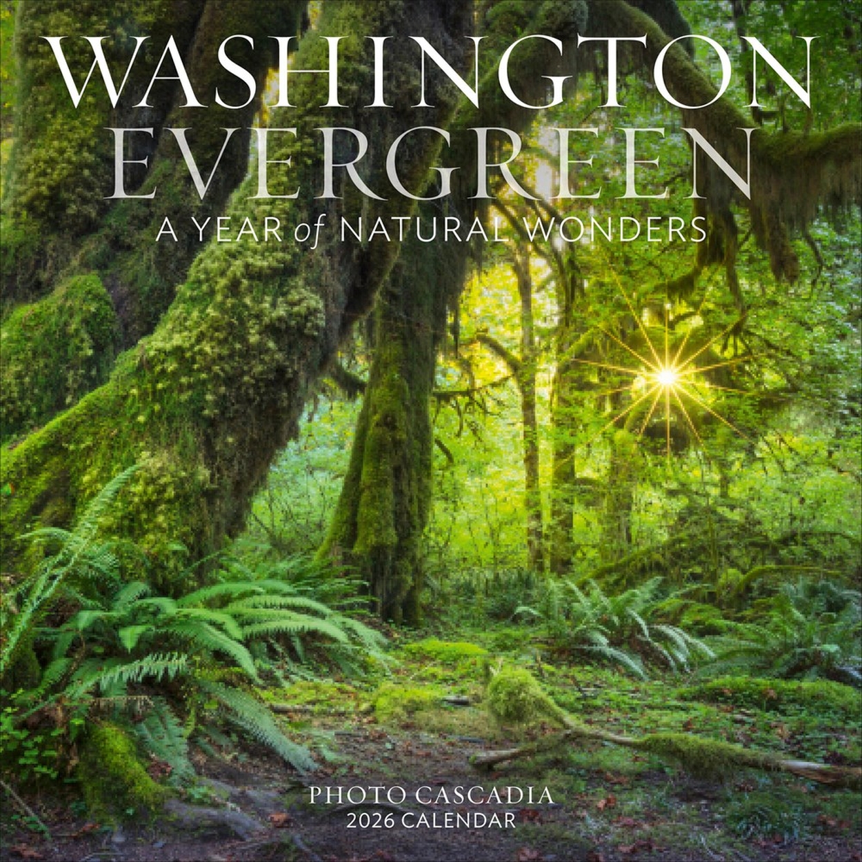 Washington Evergreen Wall Calendar 2026 by Photo Cascadia | Hachette UK