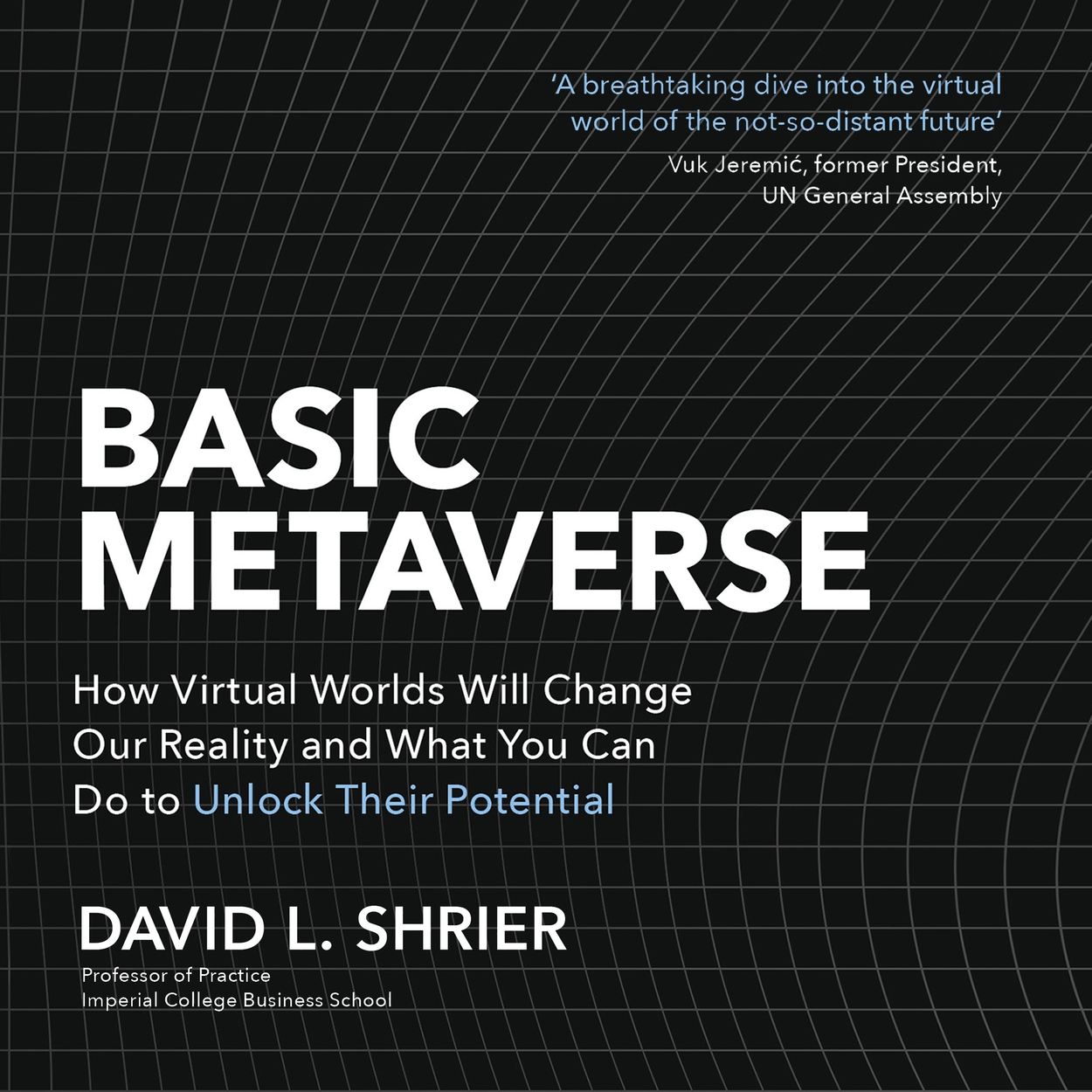 Basic Metaverse by David Shrier | Hachette UK