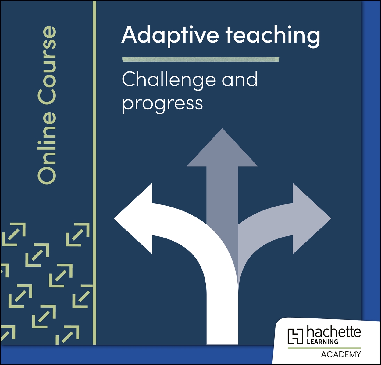 Adaptive teaching: Challenge and progress by Morgan Whitfield | Hachette UK