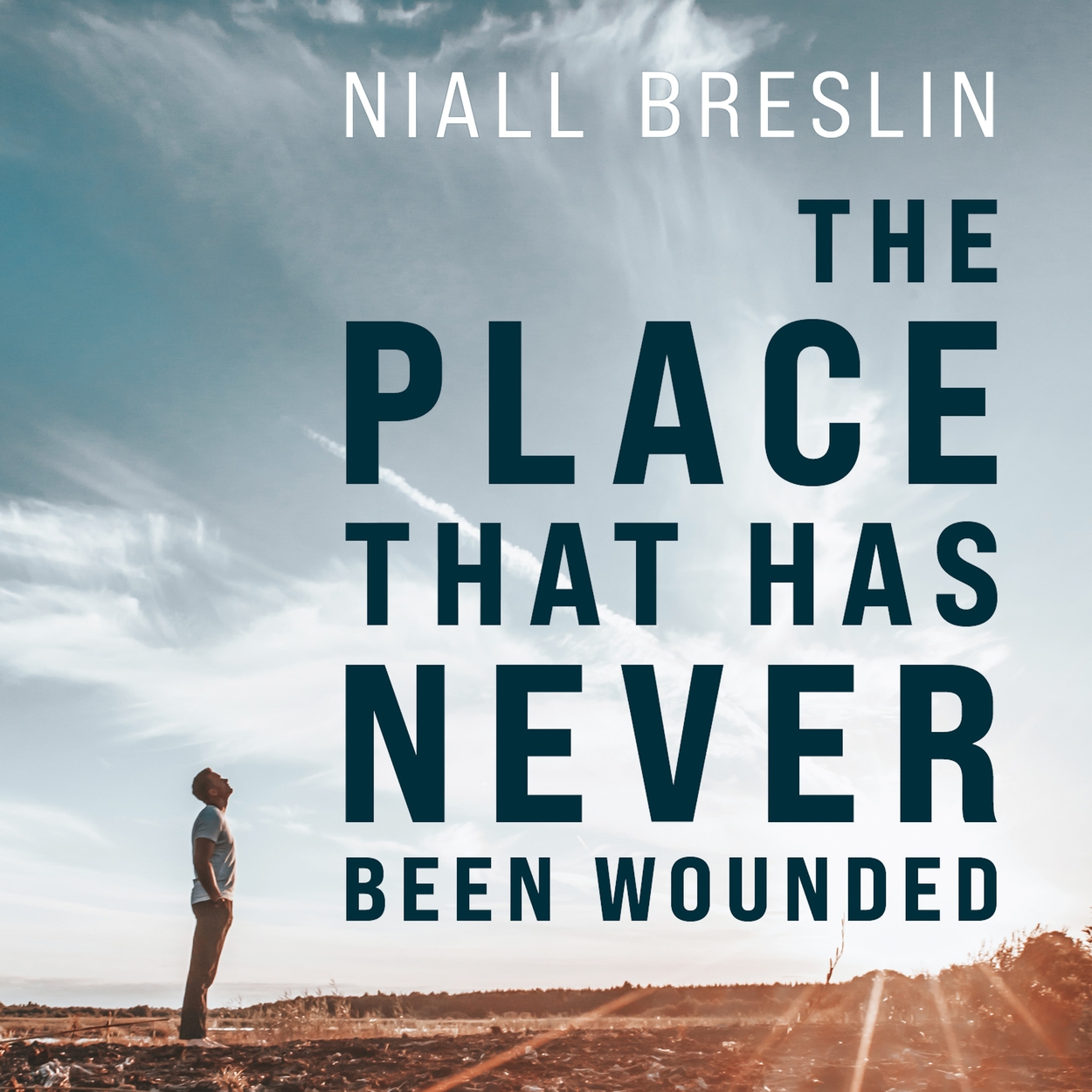 The Place That Has Never Been Wounded by Niall Breslin | Hachette UK
