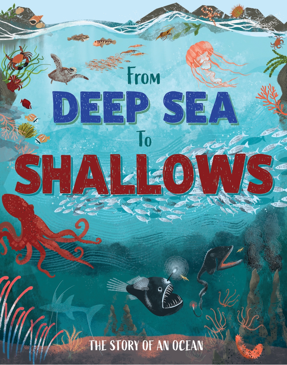 From Deep Sea to Shallows: The Story of Oceans by Ben Hubbard | Hachette UK