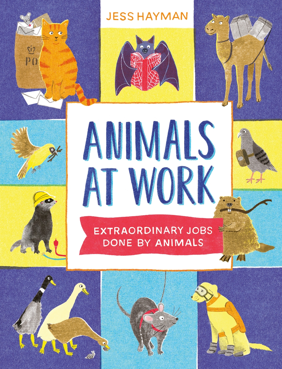Animals at Work by Jess Hayman | Hachette UK