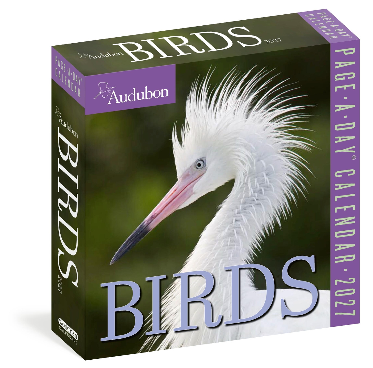 Audubon Birds Page-A-Day® Calendar 2027 by Workman Calendars | Hachette UK